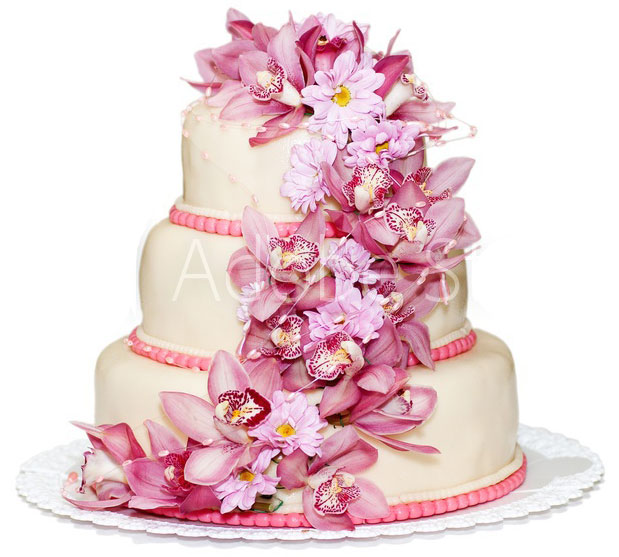 Buttercream Wedding Cakes - Azucar Bakery